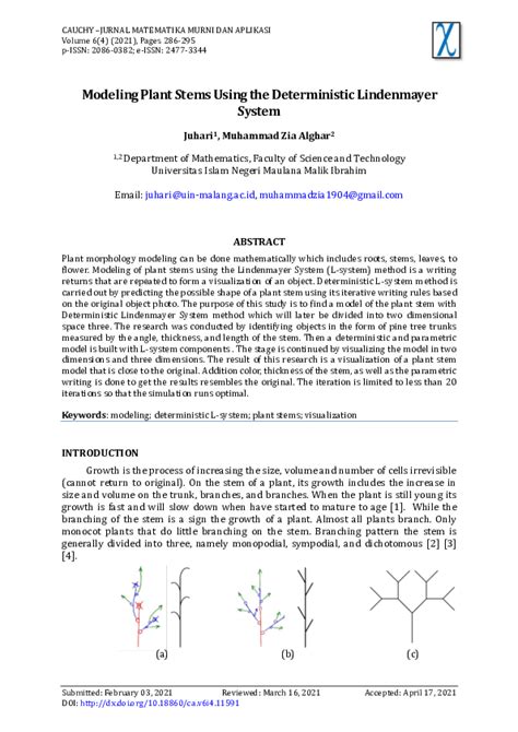Pdf Modeling Plant Stems Using The Deterministic Lindenmayer System