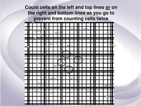 PPT Performing A Manual Count For Sperm Concentration PowerPoint Presentation ID 1286487