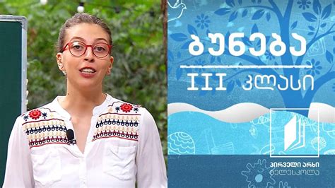 ბუნება Iii კლასი ნაყოფი და თესლი ნაყოფისა და თესლის გავრცელება ტელესკოლა Youtube