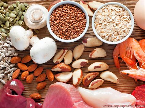 Sélénium Définition Et Explications Sélénium Définition Et Explications