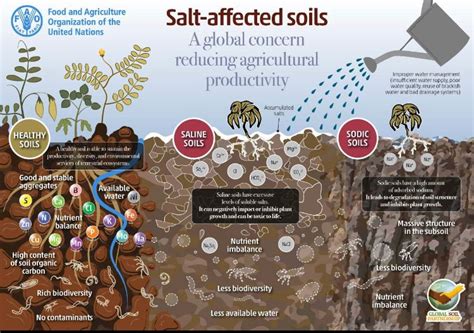 Chenna Vijaya Ranganath Posted On Linkedin