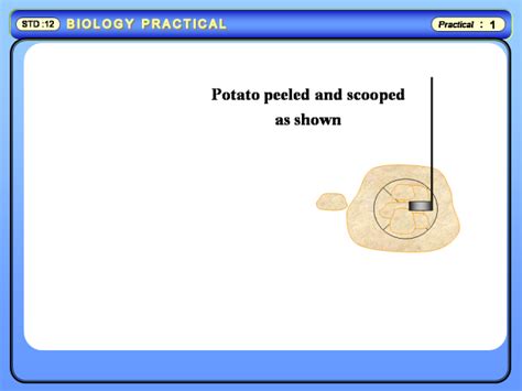 Physics Learn Study Of Osmosis By Potato Osmometer Biology Practical Std 11 12