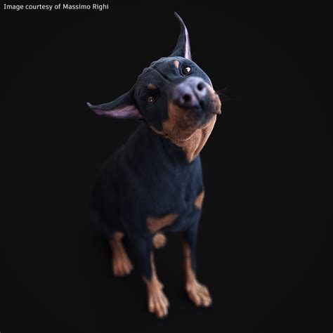 autodesk mudbox software get prices and buy official mudbox 2025