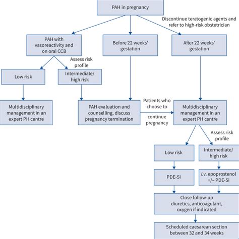 Proposed Algorithm For The Management Of Pregnant Women With Pulmonary Download Scientific