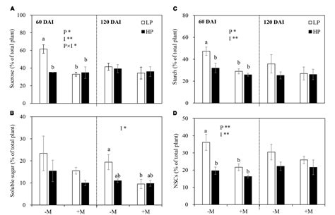 Figure 4 From Increased Carbon Partitioning To Secondary Metabolites