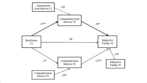 Path Model Of The Associations Between Resilience Autonomous And Download Scientific Diagram