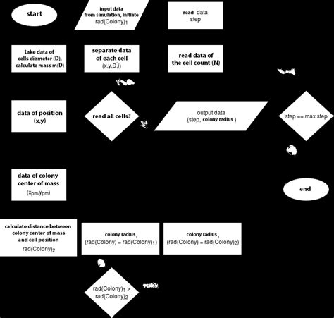 the algorithm of counting colony radius download scientific diagram