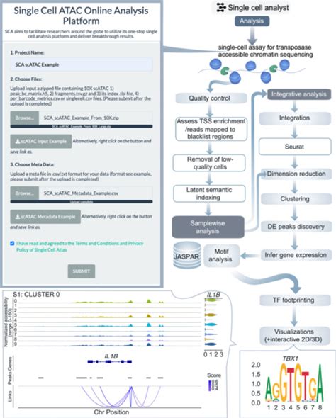 comprehensive analysis of multi‐omics single‐cell data using the single