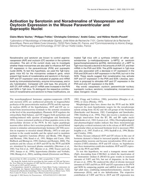 Activation By Serotonin And Noradrenaline Of Vasopressin And Oxytocin