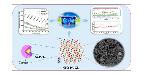 Phytic Acid Assisted Fabrication Of High Specific Surface Area Carbon