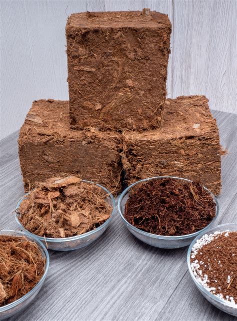 Grow Blocks Grow Green Ceylon