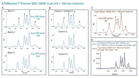Enhancing Size Exclusion Chromatography Of Large Biomolecular Analytes With Rigorously Designed