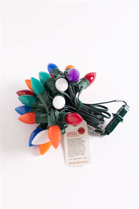 Led Multi Lights Longwood Gardens