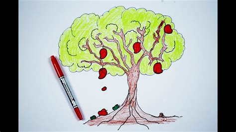 Cartoon Simple Easy Mango Tree Drawing Winter Tree Clipart Black And White