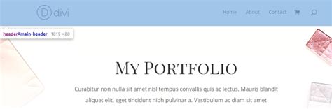Cómo ocultar elementos con CSS en tu sitio web Recurso Wordpress