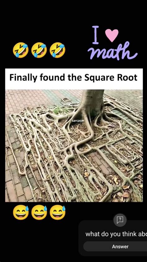Finally Find The Square Root Funny Viral Shortsfeed Memes Instagram Fun YouTube