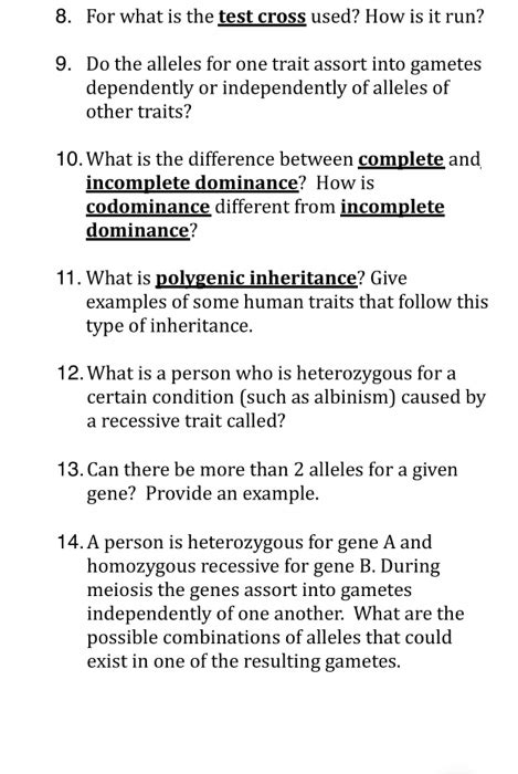 Dominant And Recessive Alleles Examples
