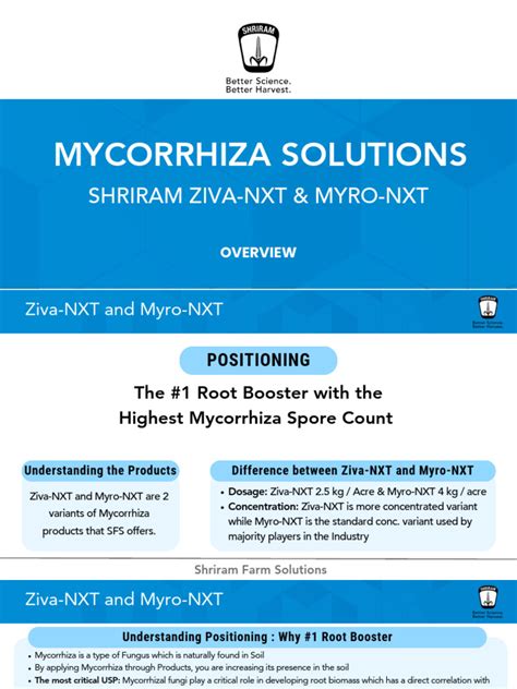 assignments 1 2 and 3 pdf