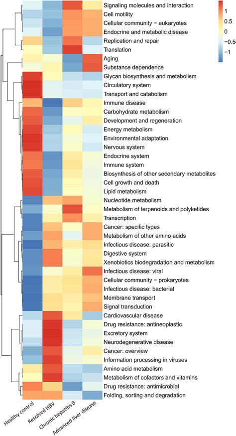Differences Of Predicted Microbial Functions With PICRUSt Analysis Download Scientific Diagram