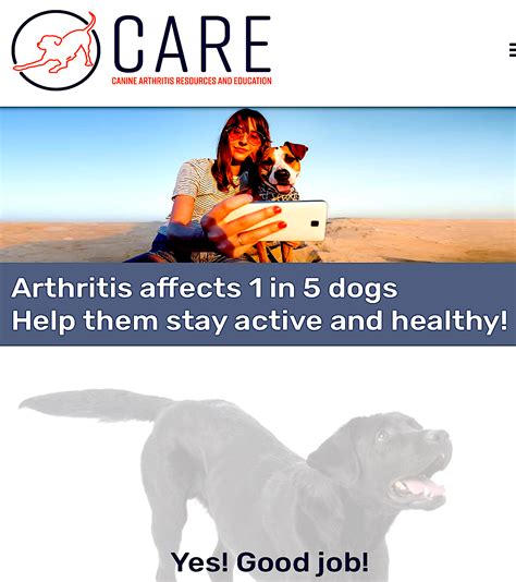 Canine Arthritis Resource And Education Care Your Dog With Arthritis