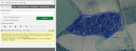 Сигнал за незаконна сеч Защити Гората