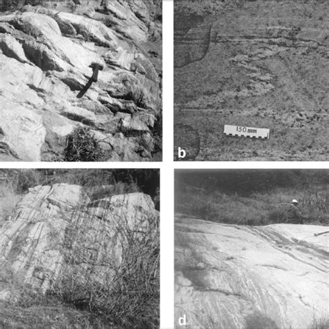 Type 3 Hook Type Fold Interference Pattern Due To Refolding Of F 3 Download Scientific Diagram