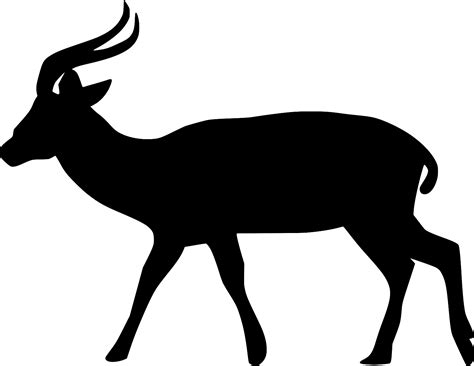 Kobus Kob By Augustin Brouillet Cc0 1 0 Phylopic