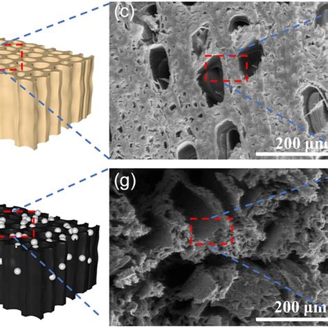 A Water Evaporation Rate And Efficiency Of Solar‐driven Interfacial