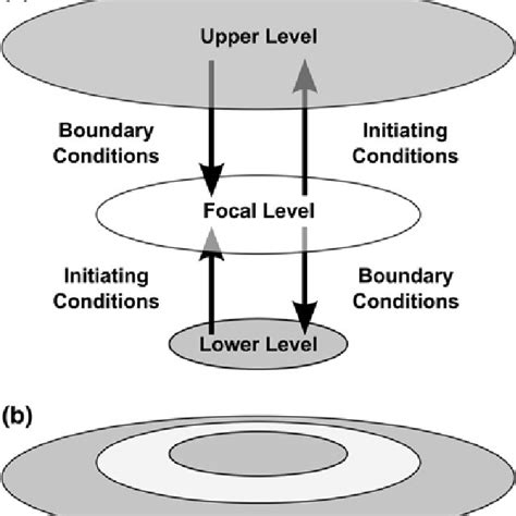 dynamics of bidirectional interactions among levels in a nested