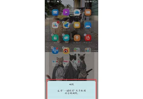 手机自带软件卸载不了教你2种方法，强制卸载预装应用程序！root