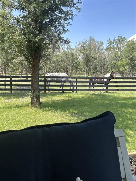 Stgenetics Top Of Class In And Out Of The Ring For Every Dairy Breed 🏆 Style Genetics™ From