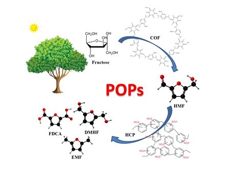 Design And Synthesis Of Porous Organic Polymers Promising Catalysts For Lignocellulose