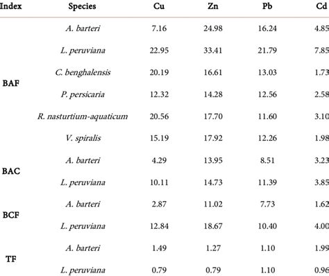 Bioaccumulation Factor Baf Biological Accumulation Coefficient Download Scientific Diagram