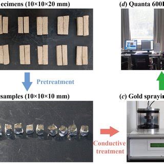 The Particle Size Distribution Curve Of Test Soil Download Scientific Diagram