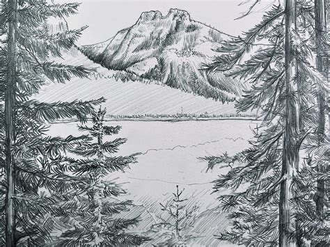 Hike And Draw How To Draw Trees FREE TUTORIAL