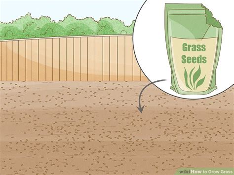 12 Ways To Grow Grass WikiHow