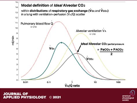 Co2 Response Curve Anesthesia