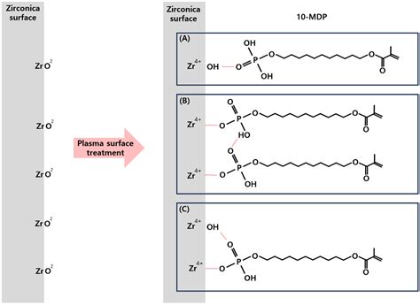 Impact Of Different Surface Treatments On Shear Bond Strength Between Two Zirconia Ceramics And