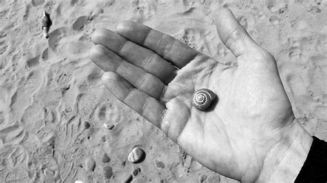 Visual Arts Practice Videos Clickview