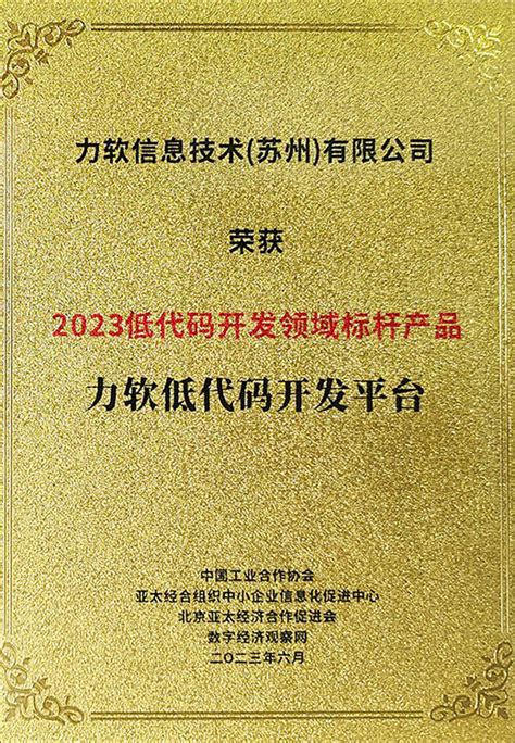 力软 低代码快速开发平台 敏捷开发框架 简单易用的 NET JAVA快速开发框架