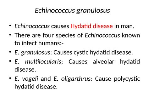 Echinococcus Granulosum Pptx