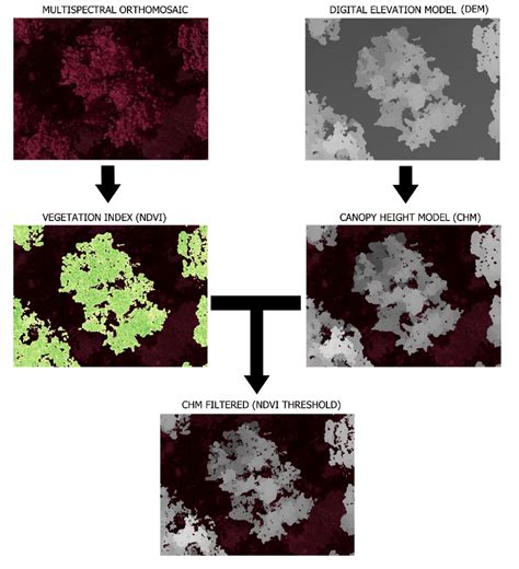 Filtering Workflow Aimed To Improve The Accuracy Of The Canopy Height Download Scientific