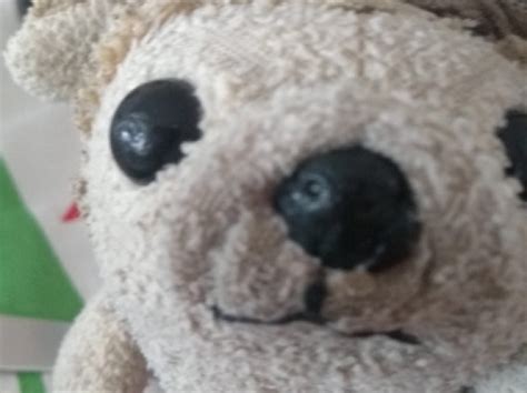 Uuuuuuuuuuuuuuuuuuuu Quizur