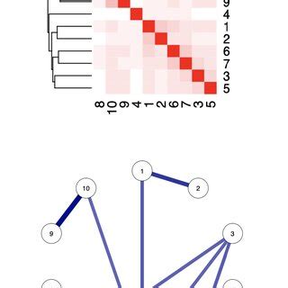 Males Mutual Conditional Entropy Left And Female Mutual Conditional Download Scientific