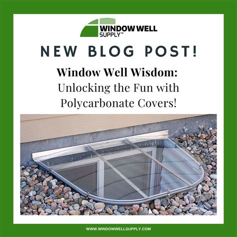 Have You Ever Peeked Into A Window Well And Thought Theres Gotta Be More To This Than Meets