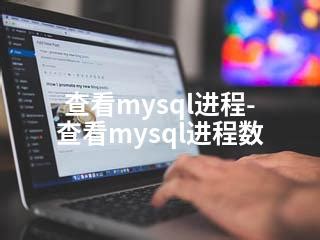查看mysql进程 查看mysql进程数 牛站网络