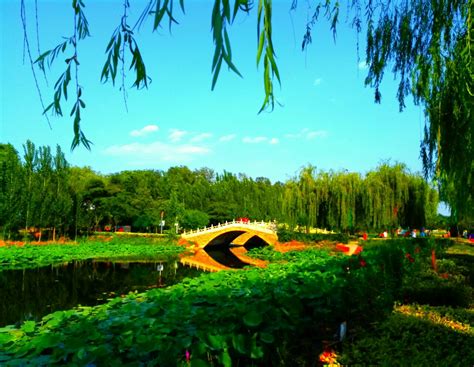 2025白洋淀风景区游玩攻略自然风景很美，还有精彩的文 【去哪儿攻略】