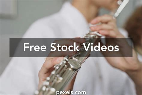 Flute Folyo Skin Fever Videos Download The Best Free 4k Stock Video