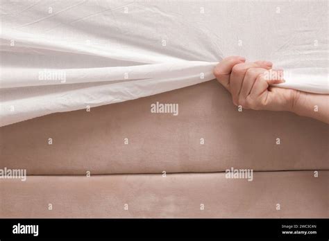 Changing Bed Sheets Woman Is Putting On A Fitted White Cotton Sheet On A Mattress While Making